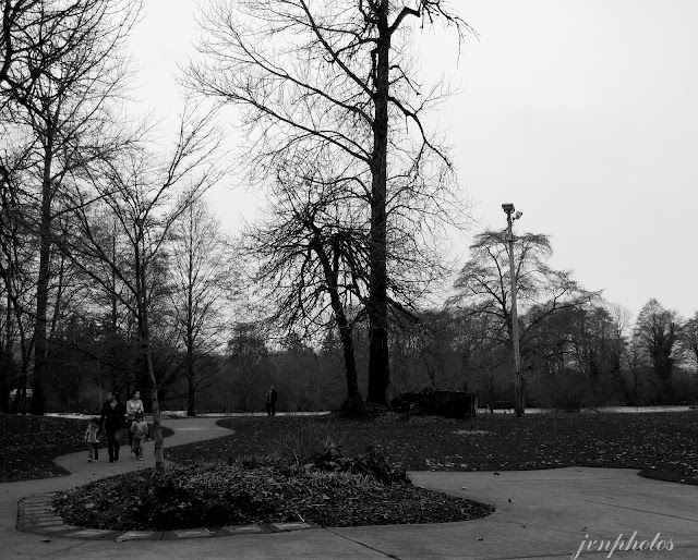 Photos by Jan: Island Park-Springfield, Oregon