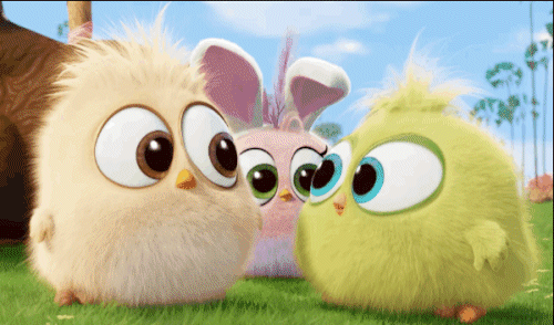 Coisinhas Da TecaEuzebio Angry Birds Movie Cute Birds Angry Birds coisinhas-da-tecaeuzebio-angry-birds-movie-cute-birds-angry-birds