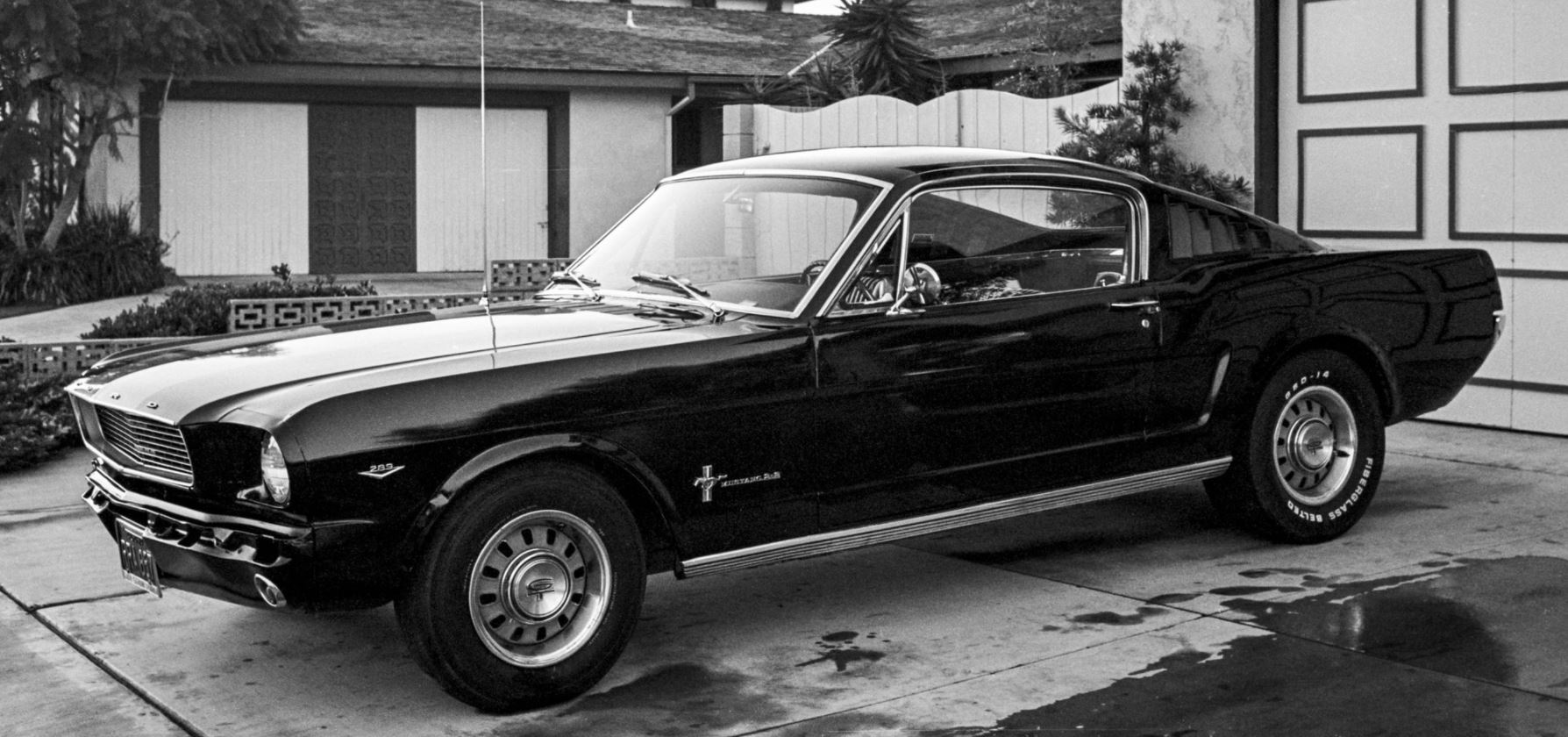 Just A Car Guy: It's been a long time since I've see a Mustang 2+2 ...