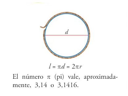 MATEMÁTICAS 1º ESO: CLASE 29: Medida del círculo.