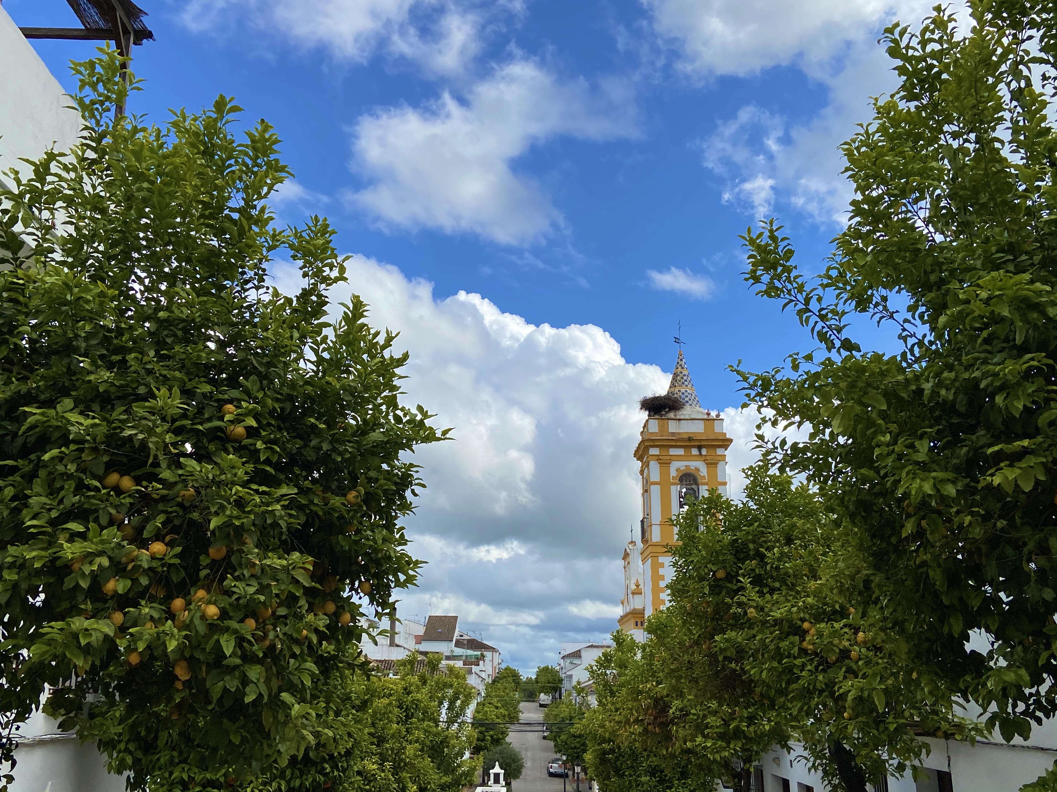 Por qué visitar Prado del Rey, por Miguel Ángel Rincón