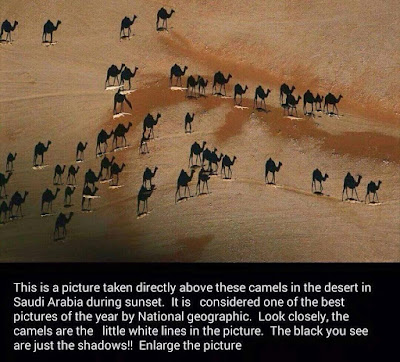 Funny and Amazing Mind Twister Brain Teaser Pictures for Kids