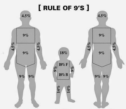 Zeta 137: 3. Rule of 9’s