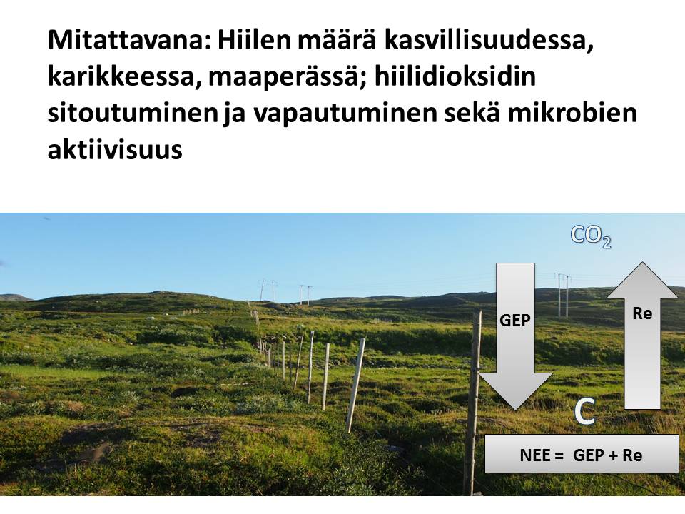 Tieteen Kananpojat: Esitys tutkijan arjesta