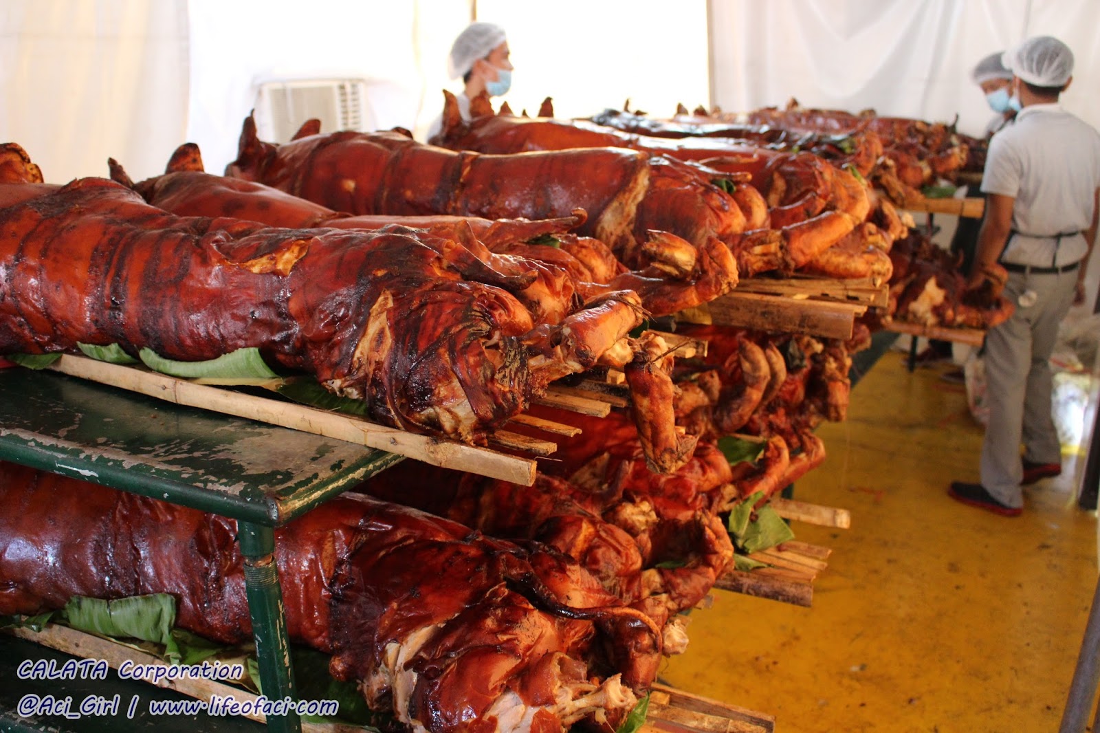 The "Lechon Party" by CALATA Corporation bags The Guinness World Record ...