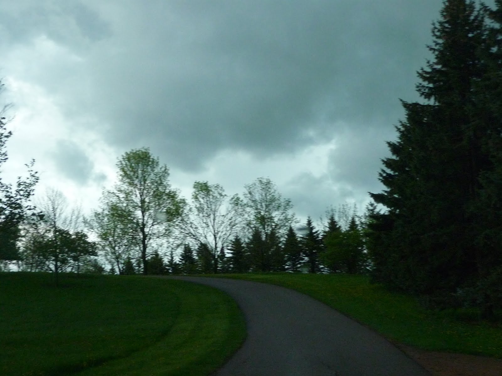 BobCat Trails: Rainstorm at Minnesota Landscape Arboretum