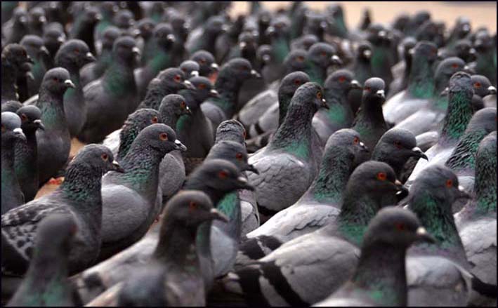 SABER CURIOSIDADES: 15 CURIOSIDADES E INFORMAÇÕES DESCONHECIDAS SOBRE ...