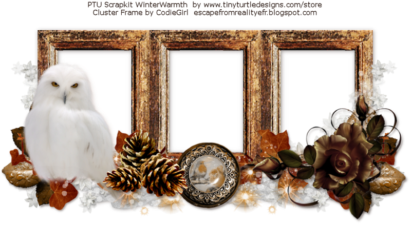 Escape From Reality Blog: FTU 'Winter Warmth' Cluster & Cluster Frames