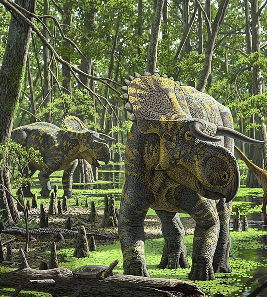 Species New to Science: [Paleontology • 2013] Nasutoceratops titusi • A ...