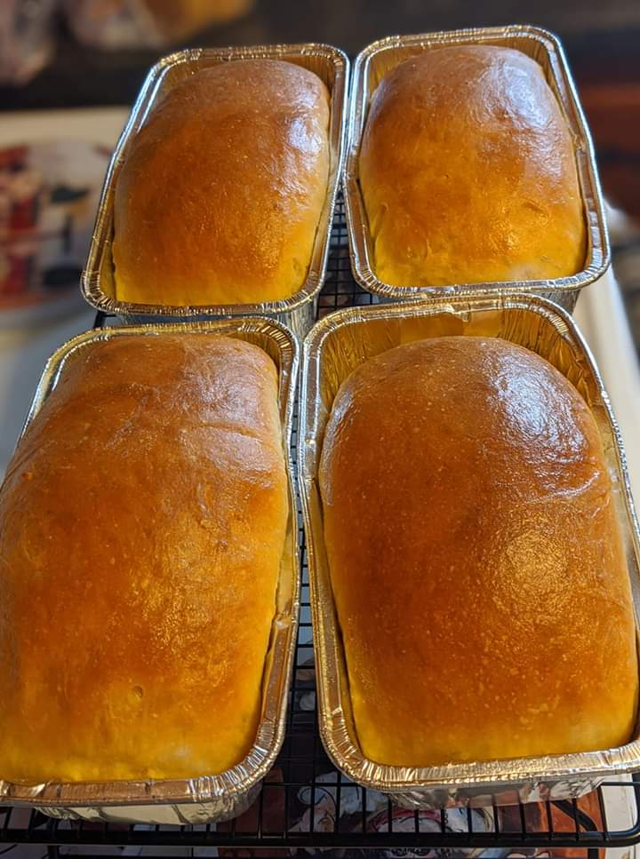 Basic Homemade Bread
