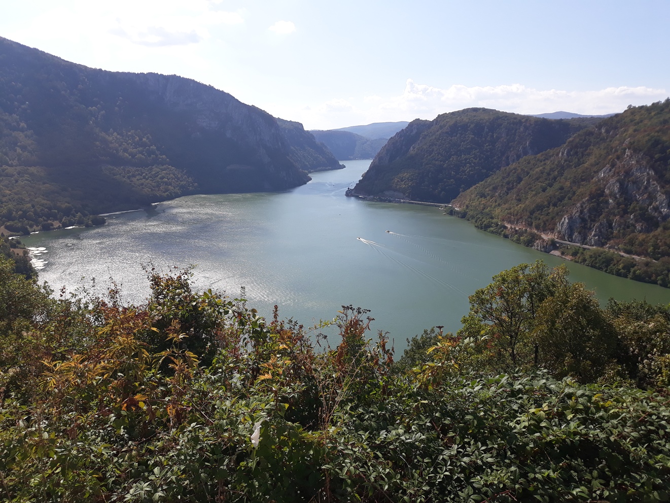 YOFF - FAUNA AND FLORA Romanian Program: YUFF-0001 Djerdap National ...