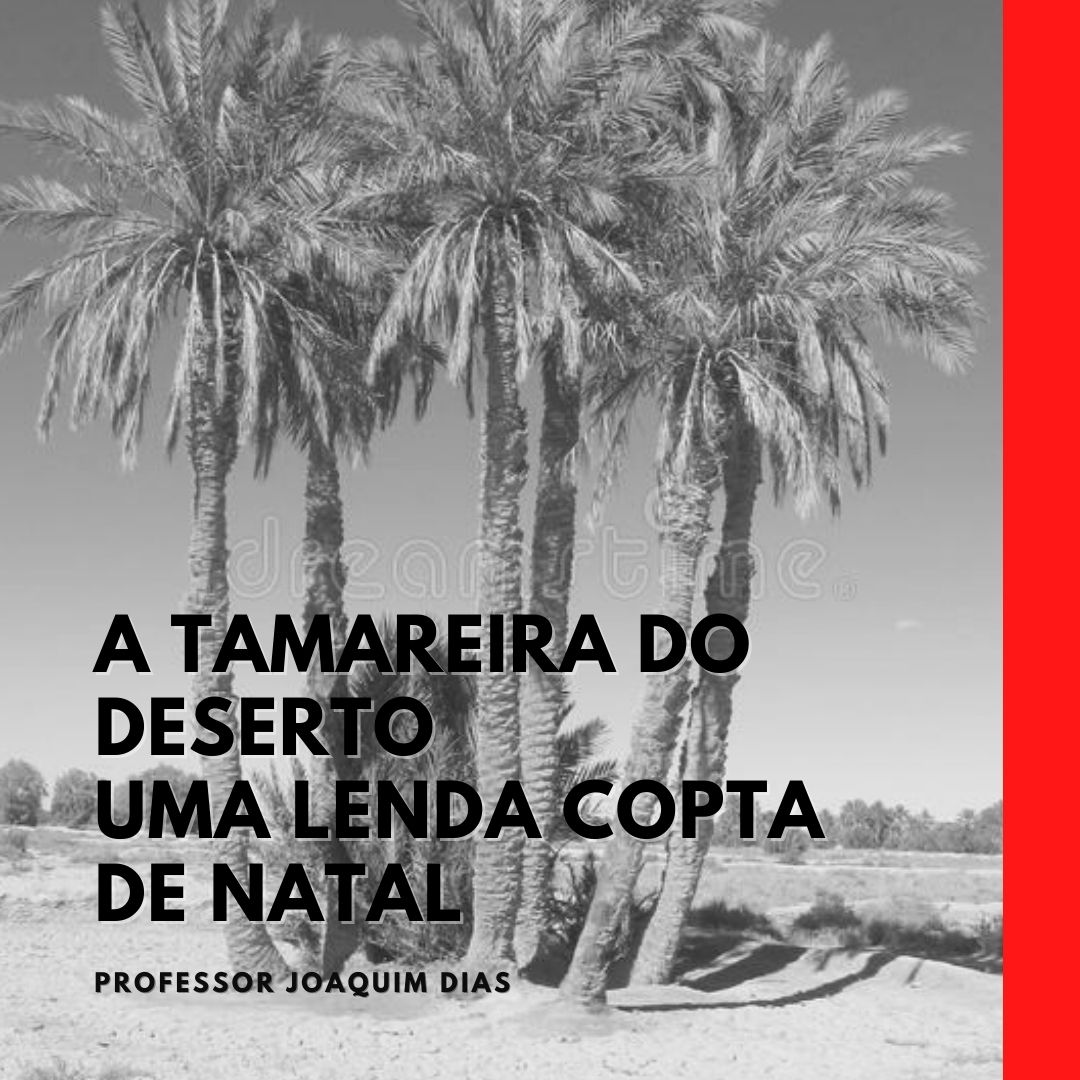 Professor Joaquim Dias: A Tamareira do Deserto - uma lenda copta de Natal