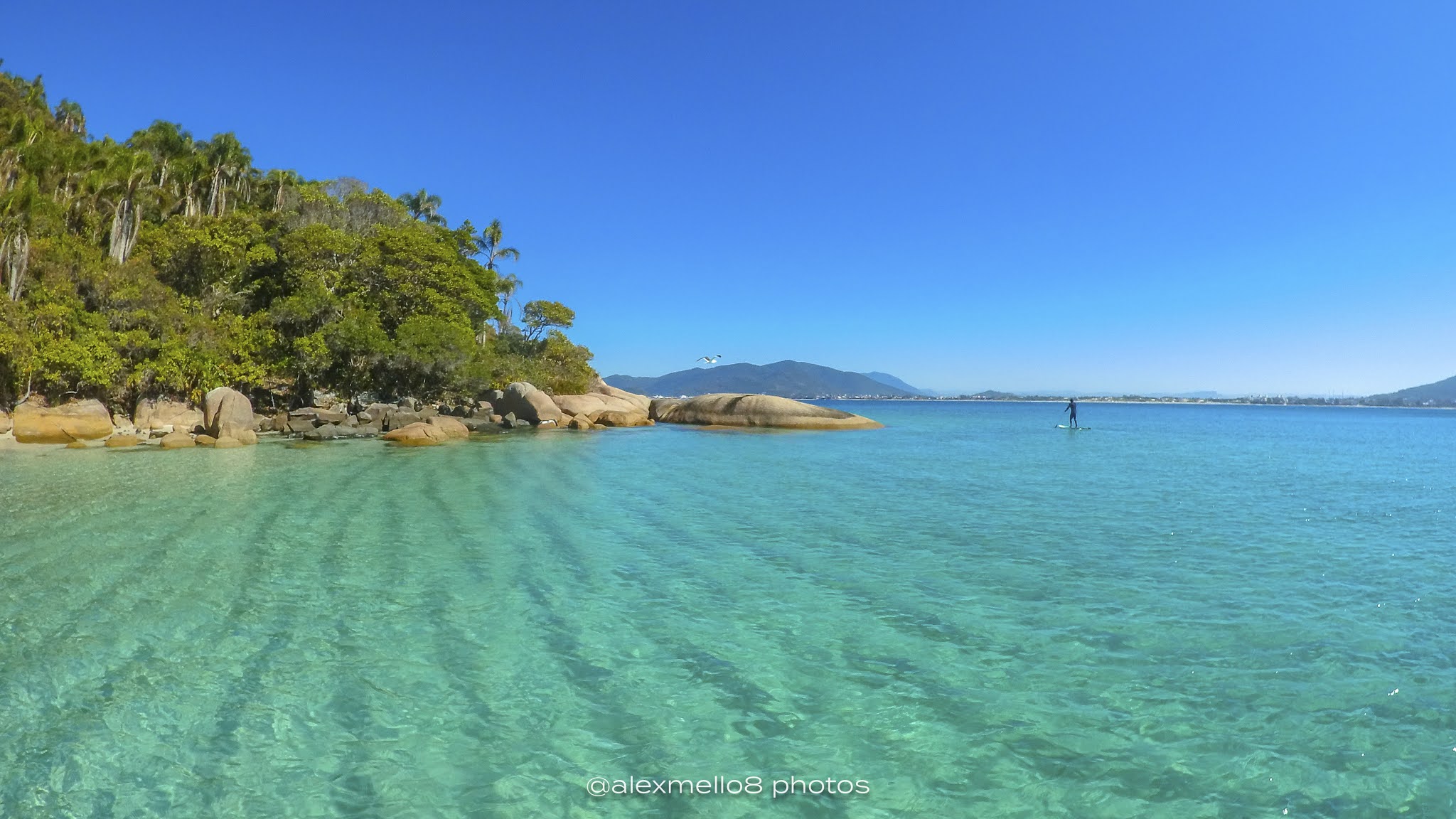 12 razões do porquê a Praia do Campeche é o destino “queridinho da vez ...