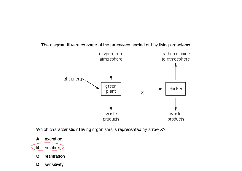 Characteristic and Classification of Living Organisms Paper 2 Solved ...