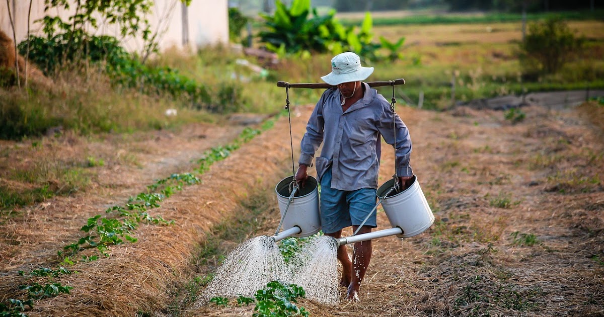 7 Characteristics of an Agricultural Worker