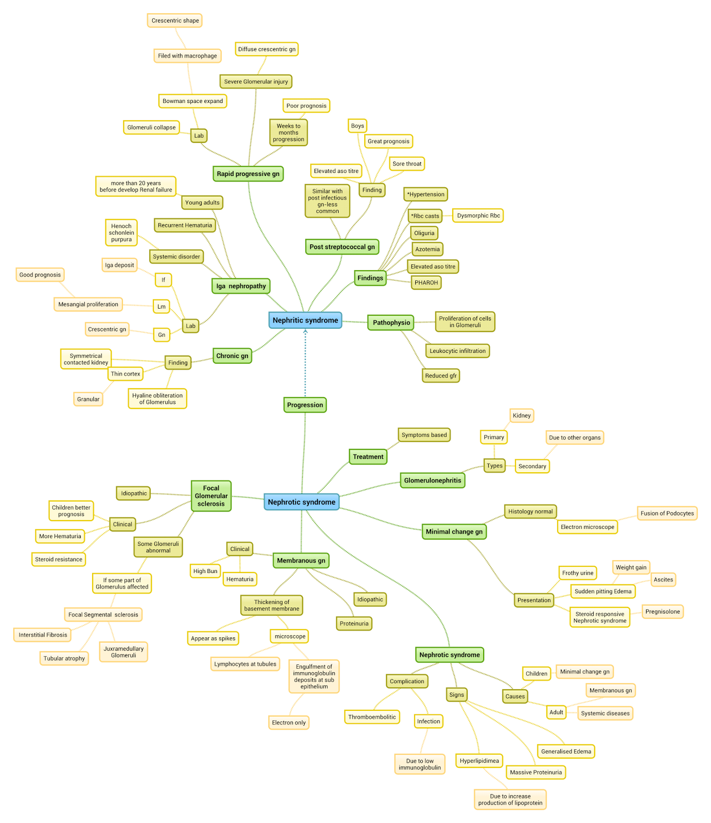 Medical Concept maps : Urinary System