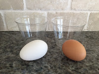 EGG-STRA SCIENCE EXPERIMENTS - Dr. Jean & Friends Blog