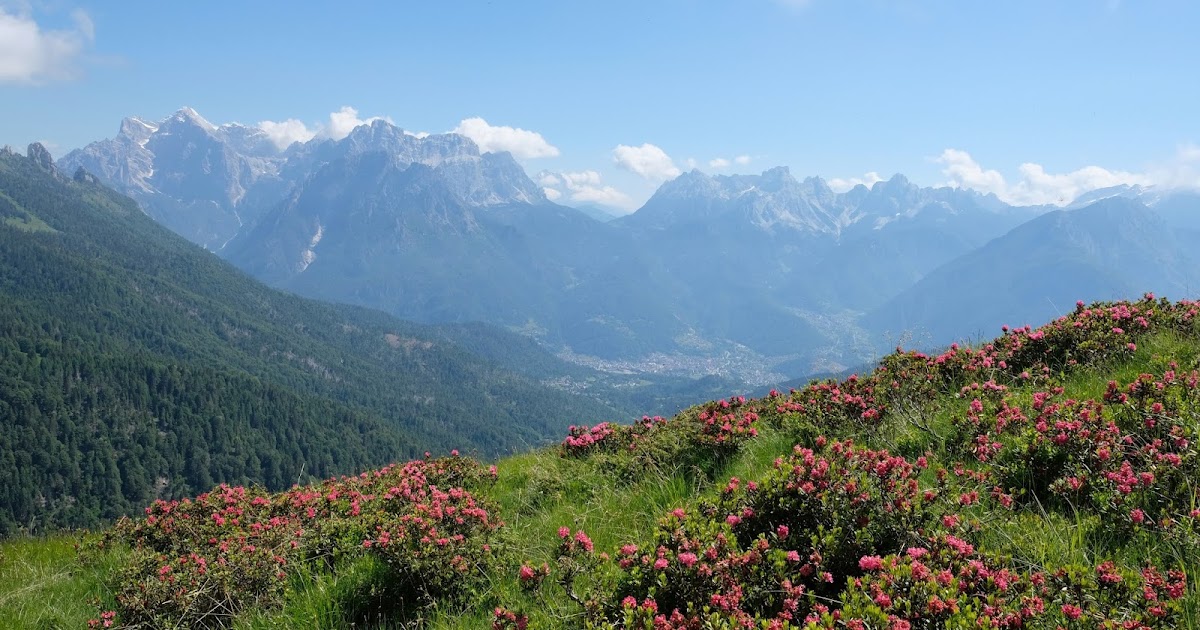 4 escursioni da fare in montagna a Giugno
