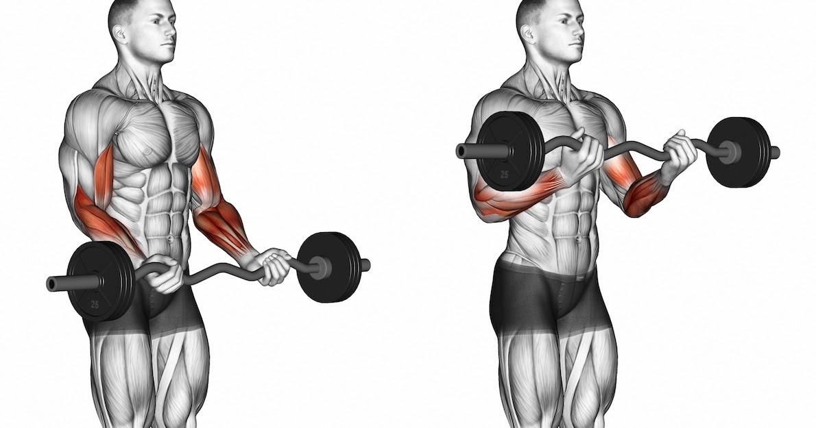 TOP 5 SUPER SET WORKOUTS FOR ARMS