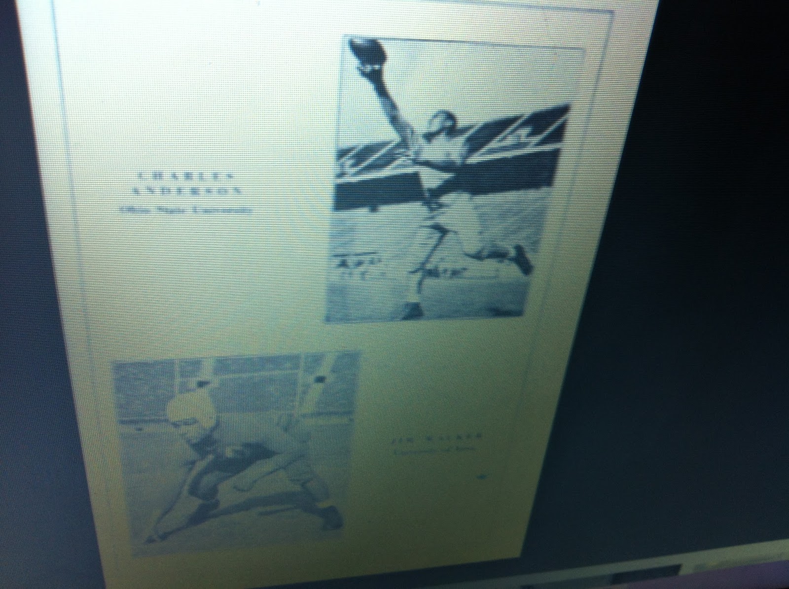 THE BLACK SOCIAL HISTORY:: BLACK SOCIAL HISTORY - AFRICAN AMERICAN ...