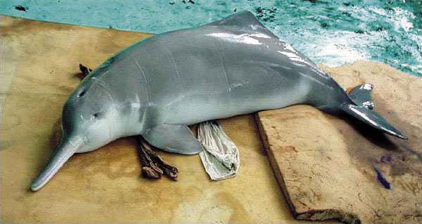 Mitoslavia: Zapomniana prawda