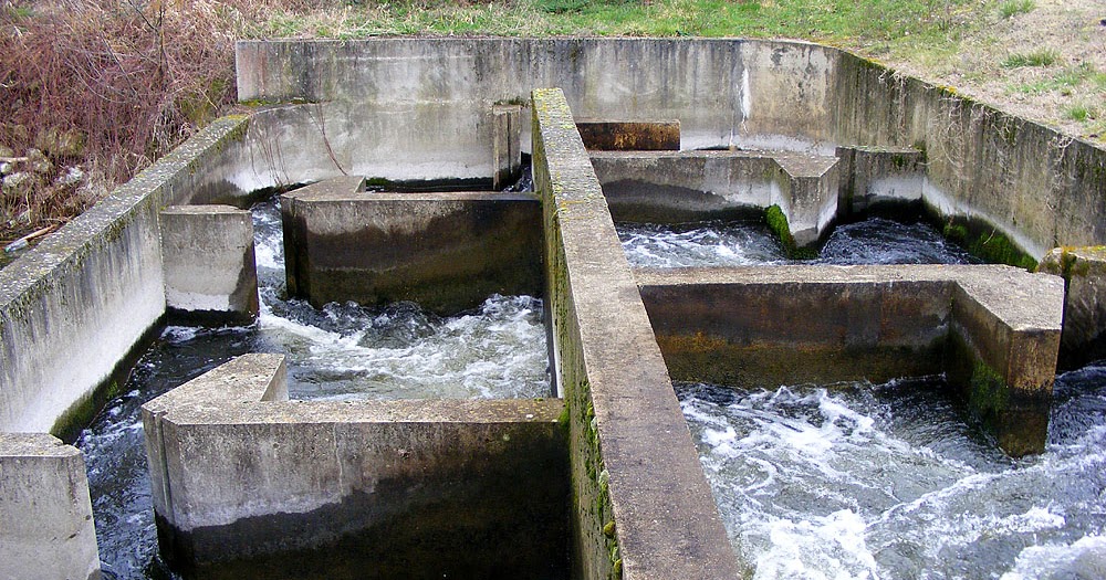 Days on the Claise: Fish Ladder