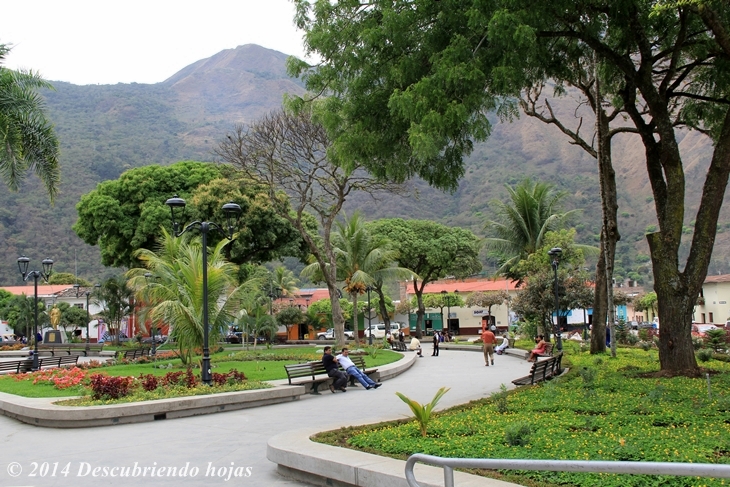 Descubriendo hojas: De camino a Quillabamba (Perú)