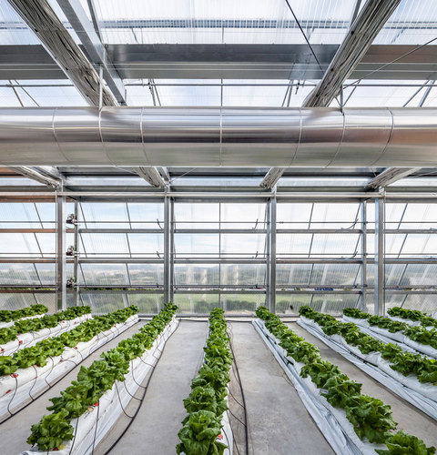 arch hot: Research Center ICTA-ICP - Design By H Arquitectes In Spain1