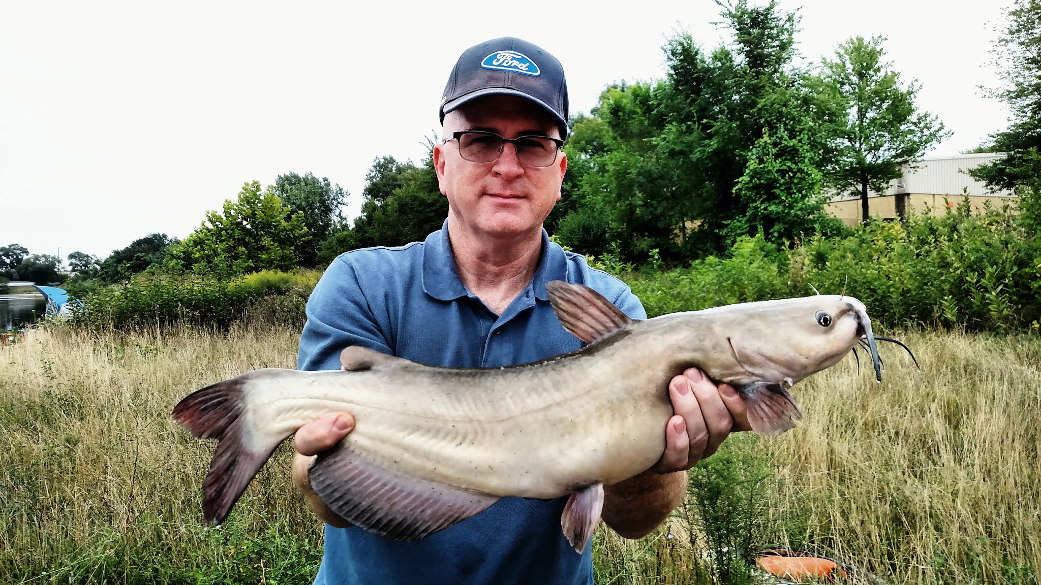 Michigan Carp Fishing Blog: Fishing for Catfish: Channels, Flatheads ...