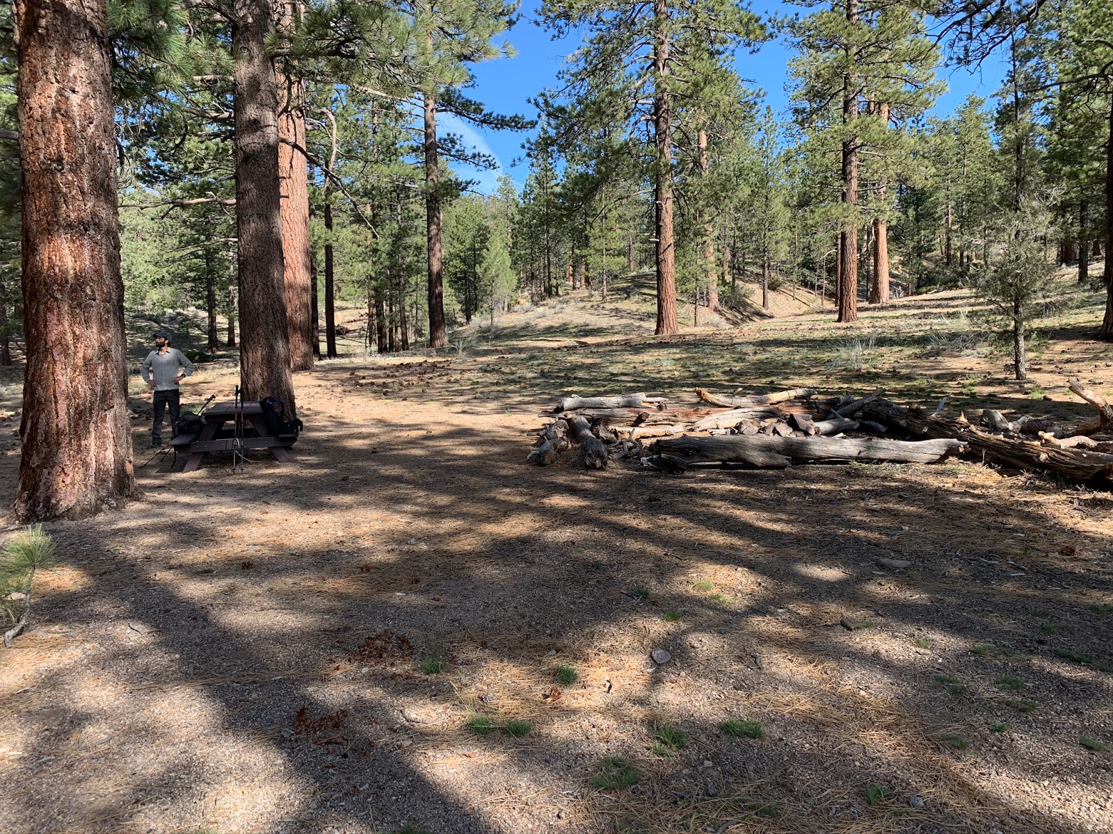 Lost In The Los Padres: South Lily Meadows