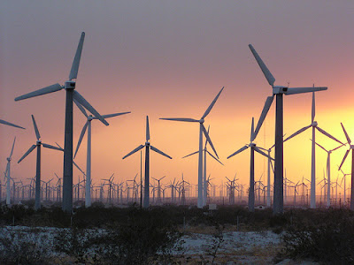 EASTERN CAPE - EC THE NEW WIND FARM HUB OF SOUTH AFRICA - Bay Bulletin PE