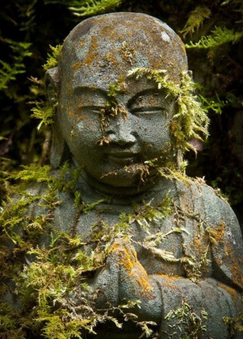 El Árbol De la Vida : Li Ching-Yun Vivió 256 Años "EL SECRETO DE LA SALUD"