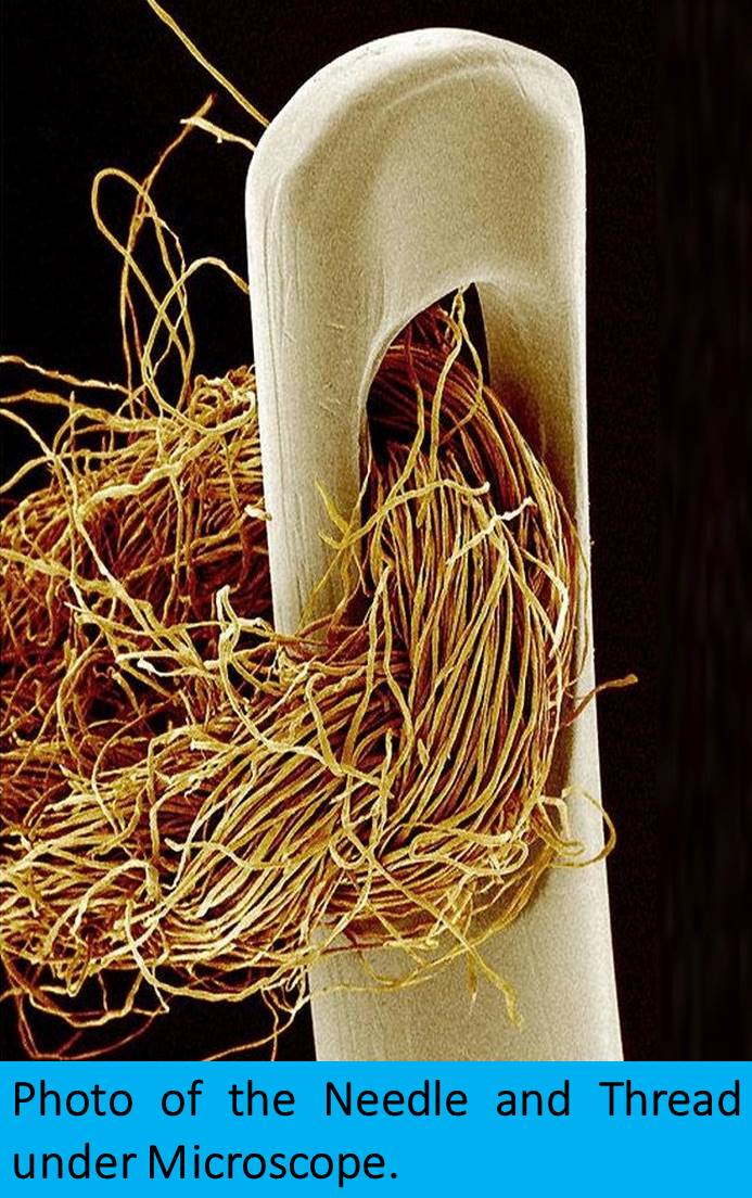 Needle and Thread Under Microscope - Word In Picture