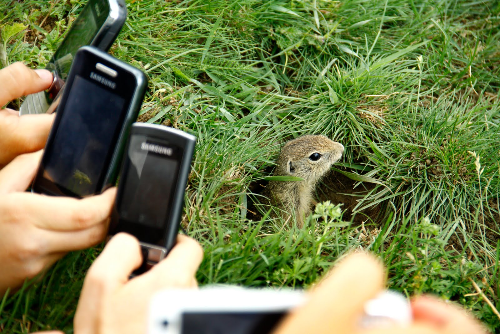 spatiu timp si suflet: septembrie 2010