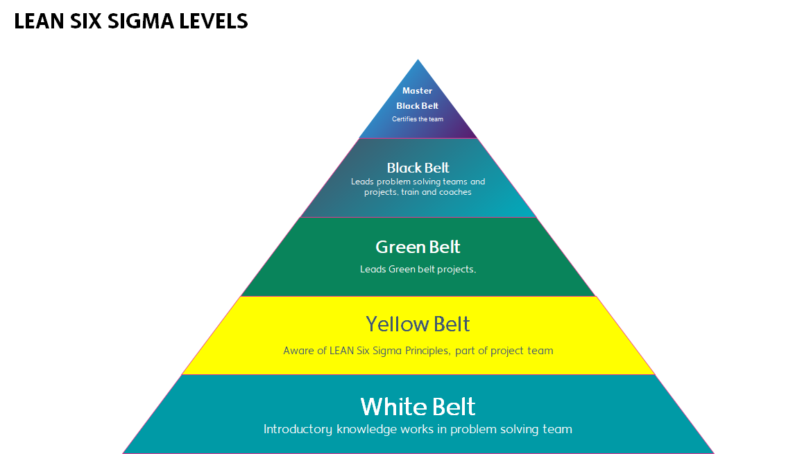 LEAN SIX SIGMA INTRODUCTION - WordofPrint