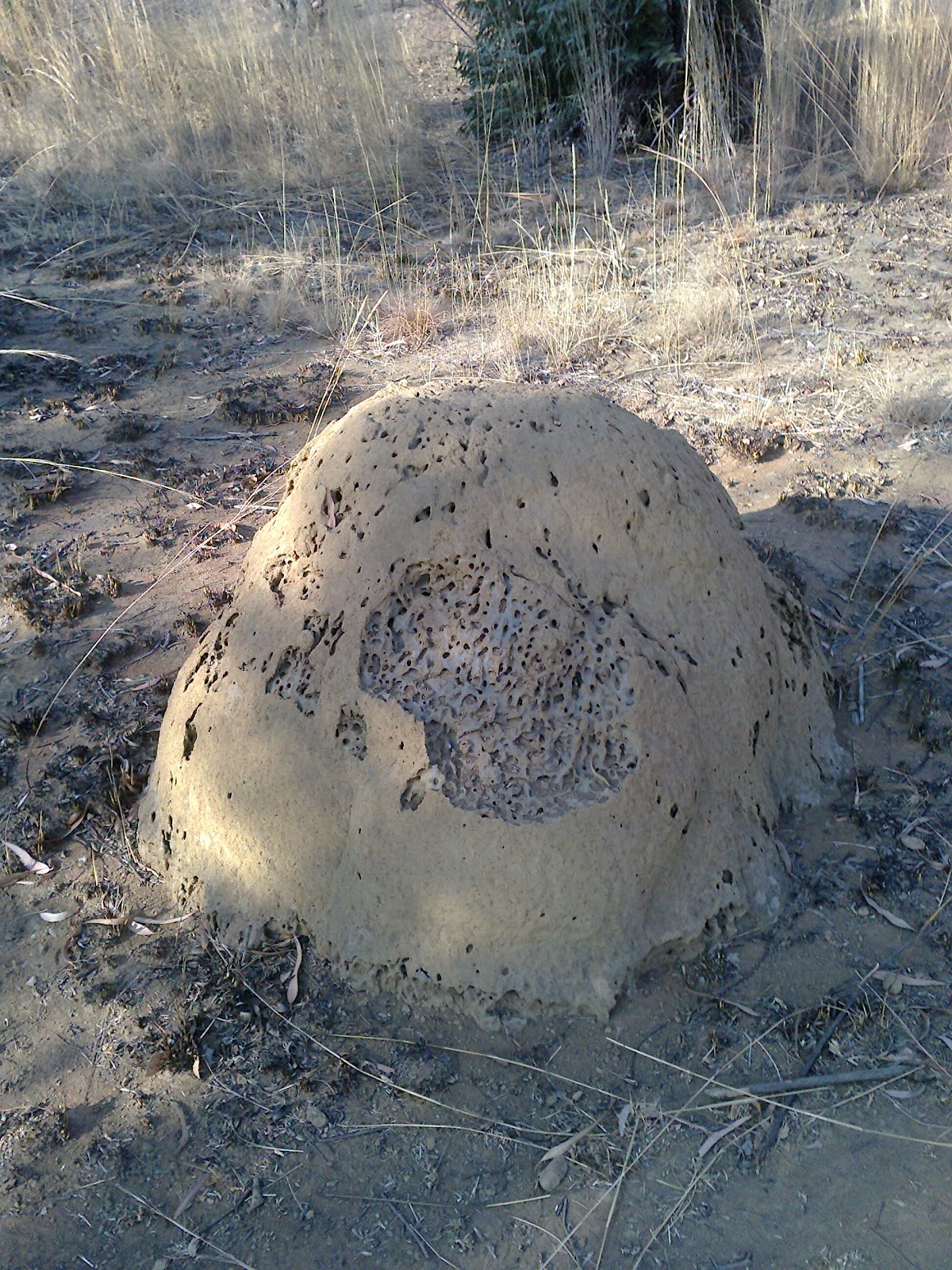 Nigel South Africa: The Anthills and Humanhills of Nigel