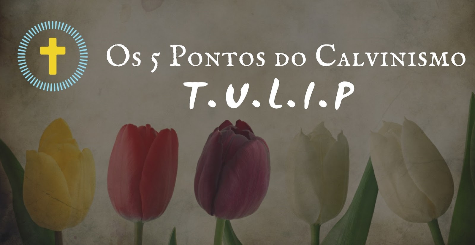 Os 5 Pontos Do Calvinismo - RETOEDU