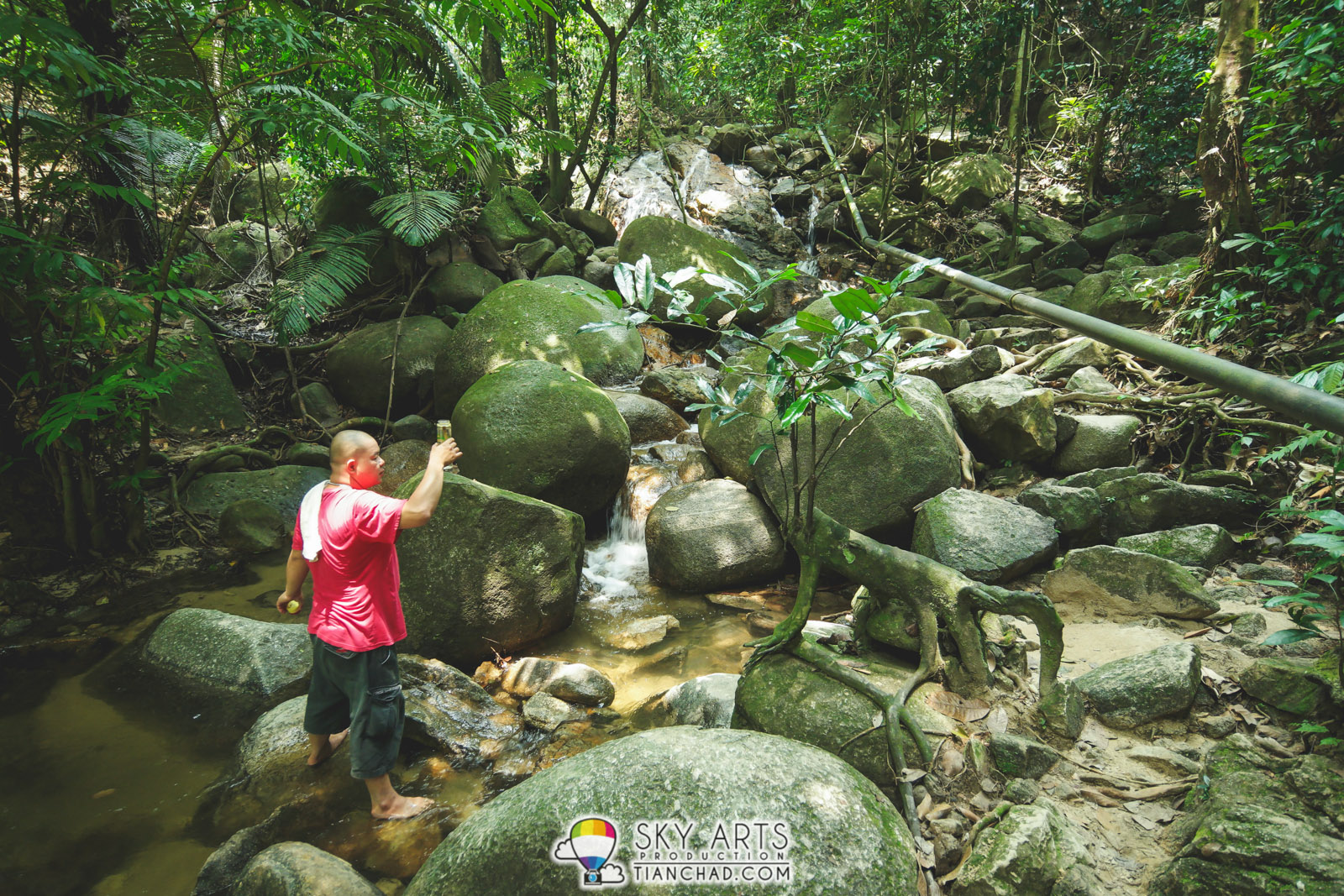 7 Things To Do In FRIM Kepong - Canopy Walkway, Jogging & Nature Trekking