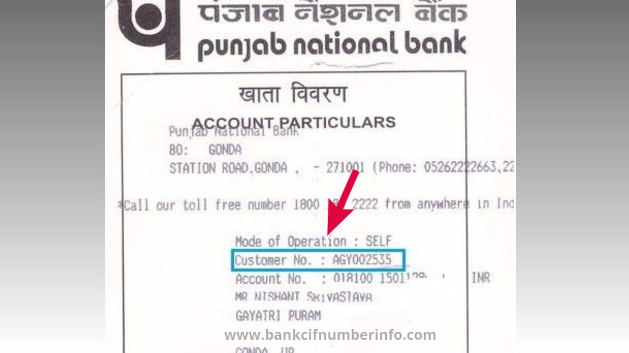 Find PNB Customer Id CIF Number Using 6 Methods Bank Cif Number find-pnb-customer-id-cif-number-using-6-methods-bank-cif-number