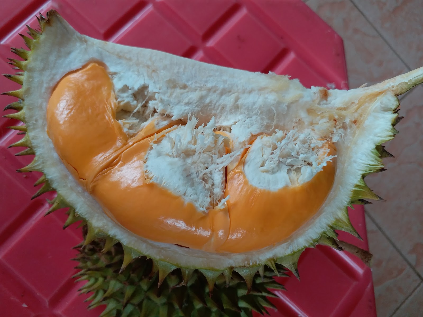 Berita TV Malaysia: Kawan cakap Durian bunga merah