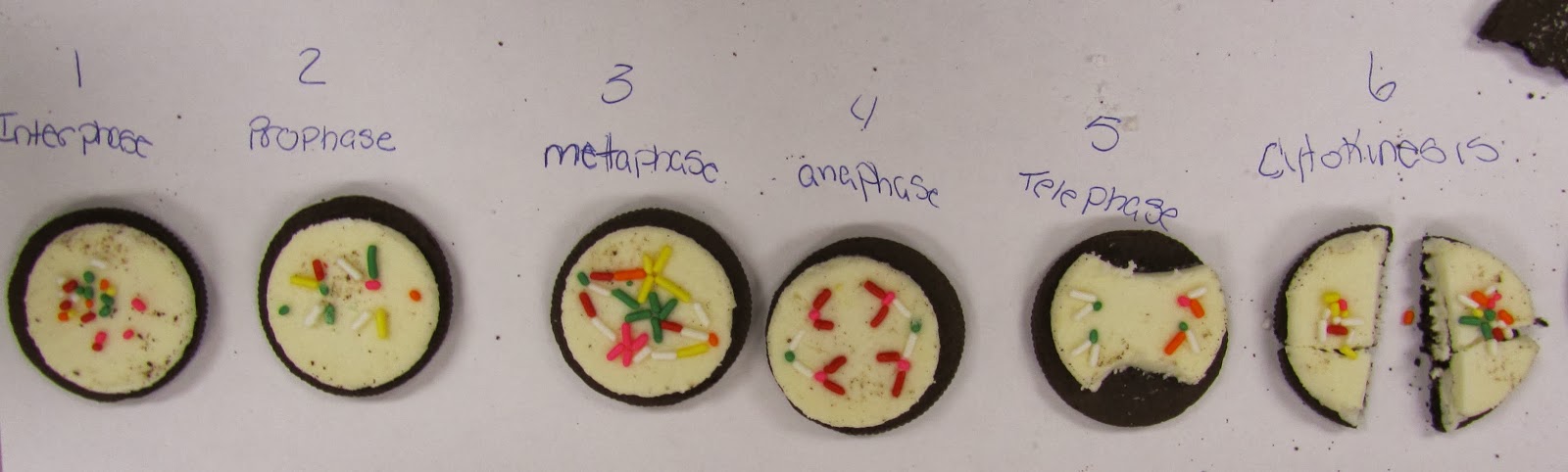 Modeling Mitosis with Oreo Cookies 1e: Designing Coherent Instruction