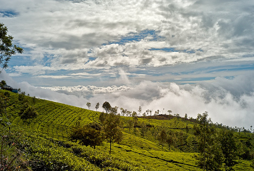 Coonoor Tourism | Coonoor Sightseeing | Coonoor India: Coonoor Tourism