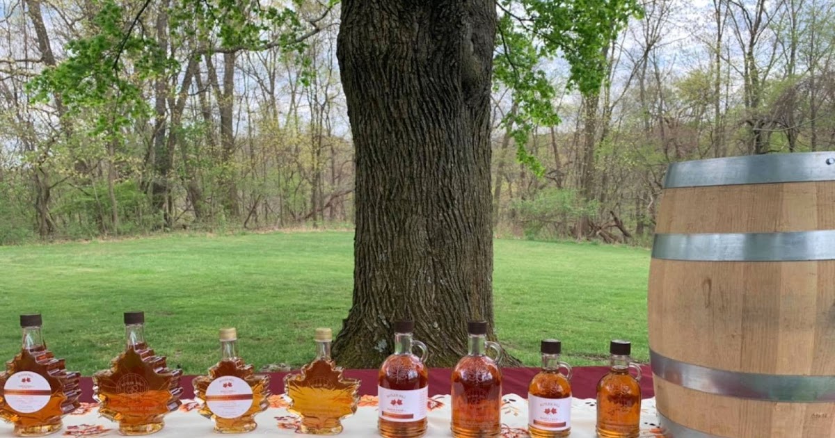 PA Environment Digest Blog: Tioga County Sugar Maple Farmer Plants ...