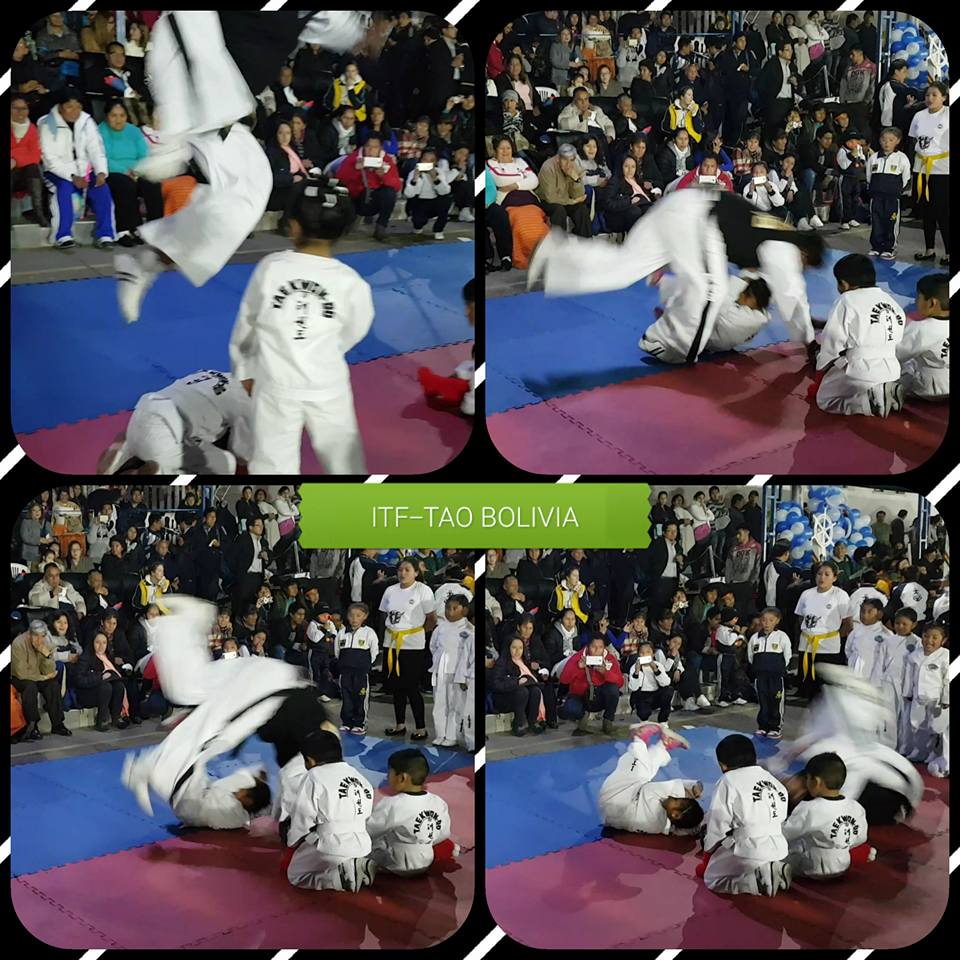 Asociación Argentina TKD Tradicional