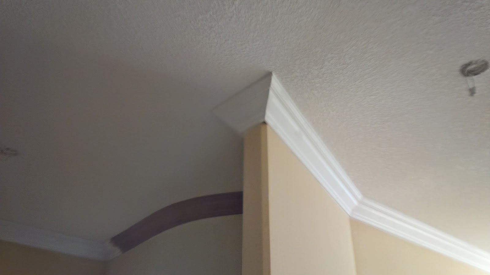 Exclusive Spaces: Installing Curved Crown Molding