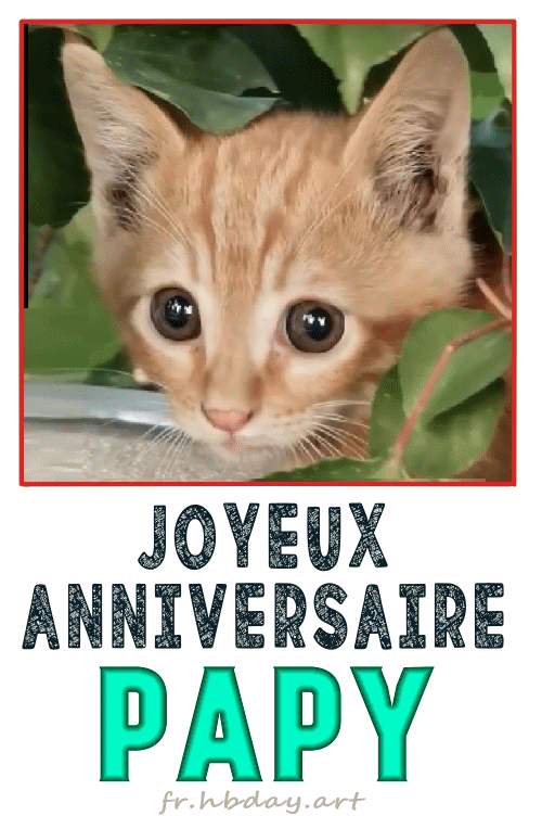 PAPY - Joyeux Anniversaire - birthday.kim/fr