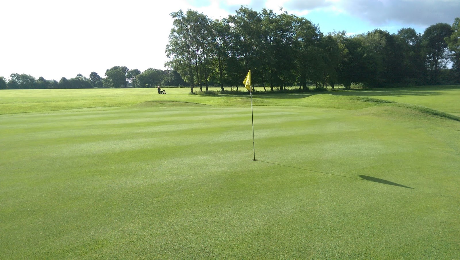 Haydock Park Golf Club Greenkeepers Blog: July 2015