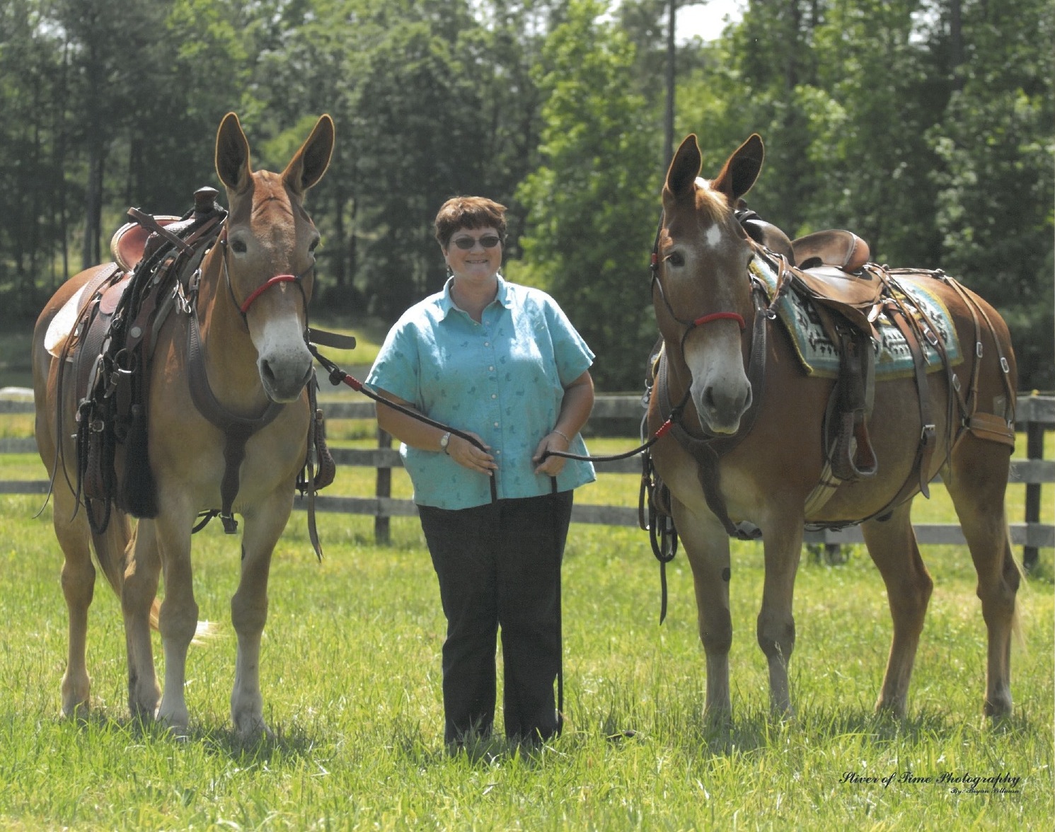 St.Clair Red Mule Farm -Mule & Donkey Adventures: June 2012