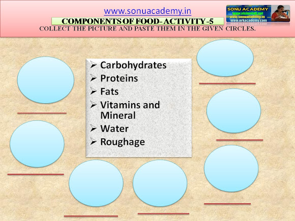 SONU ACADEMY: COMPONENTS OF FOOD - ACTIVITIES- CHAPTER-2 CLASS VI