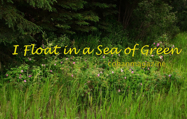 I Float in a Sea of Green- A Midsummer Poem